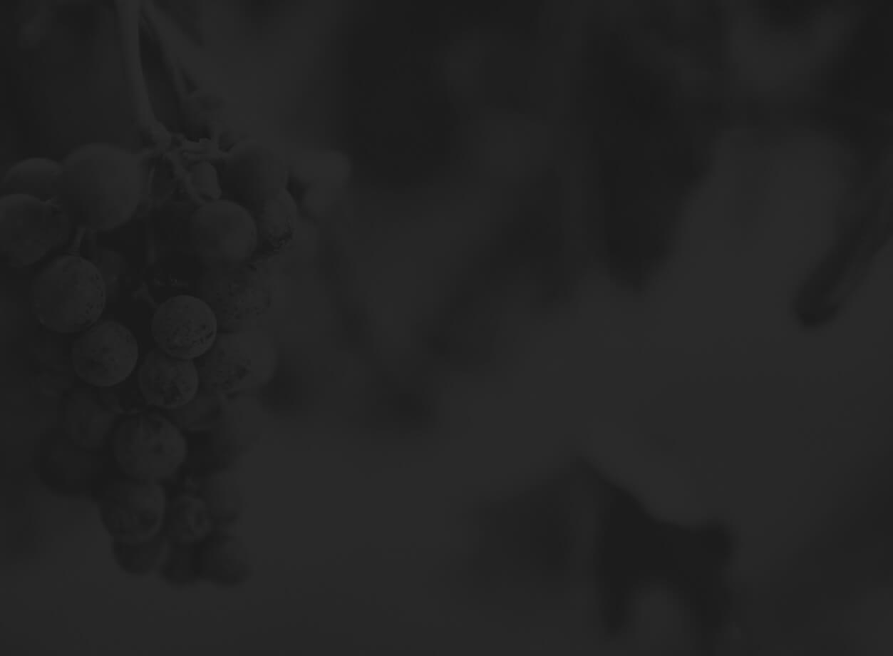 Home Wine - GPG Trade Network | Wine Importer and Distributor