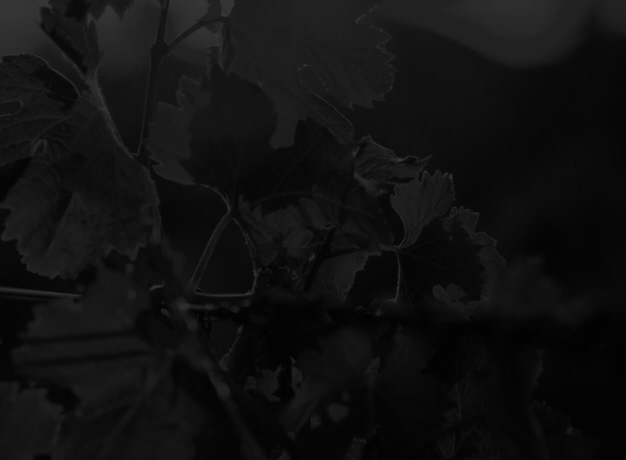 Home Wine - GPG Trade Network | Wine Importer and Distributor